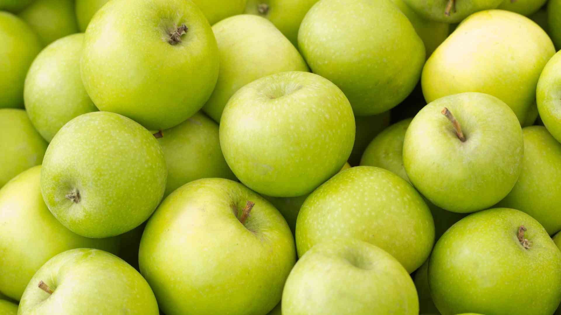 Magnesium malate: properties, differences & classification – MOLEQLAR