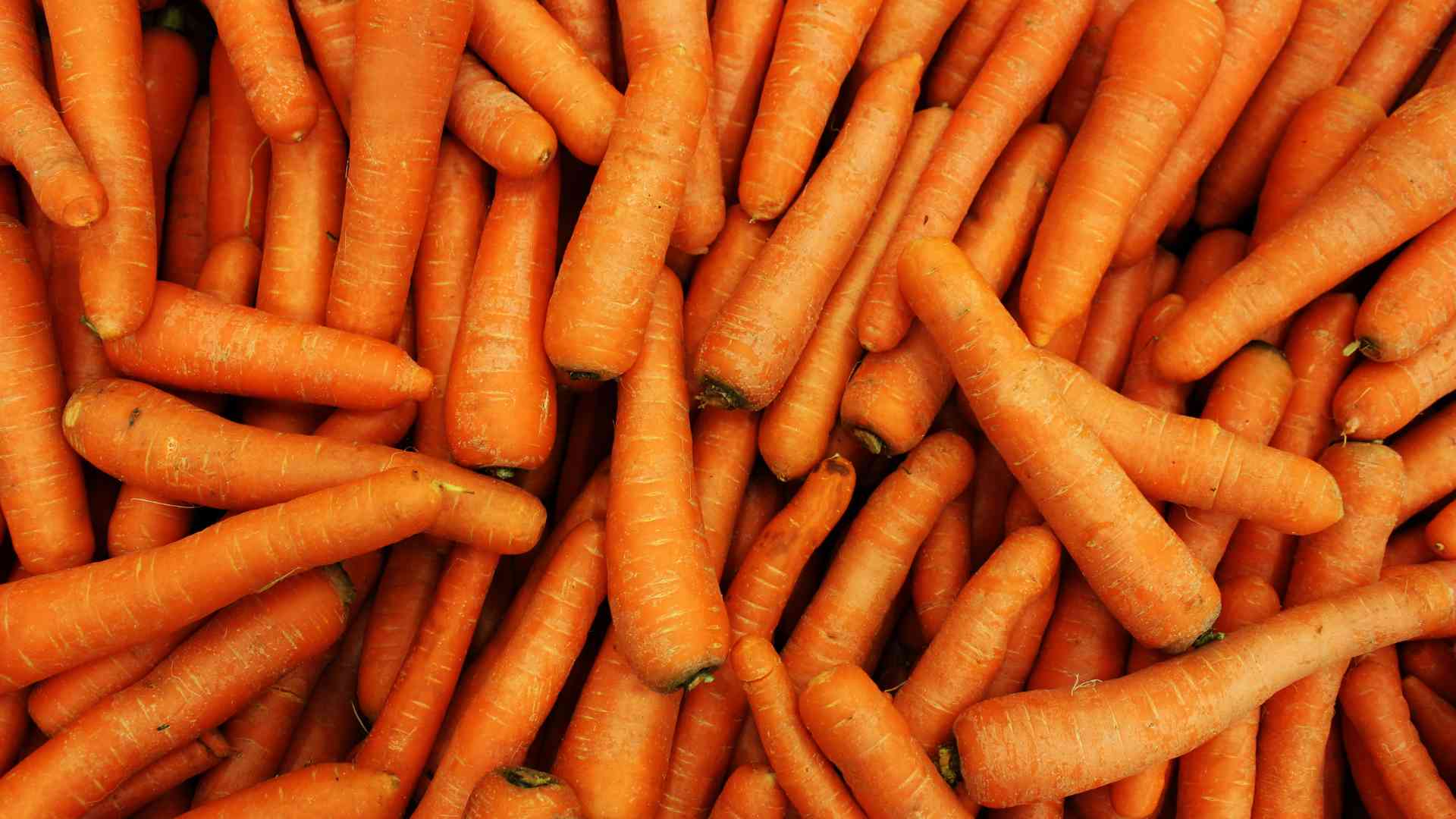 Carotenoids: meaning, occurrence and current research – MOLEQLAR